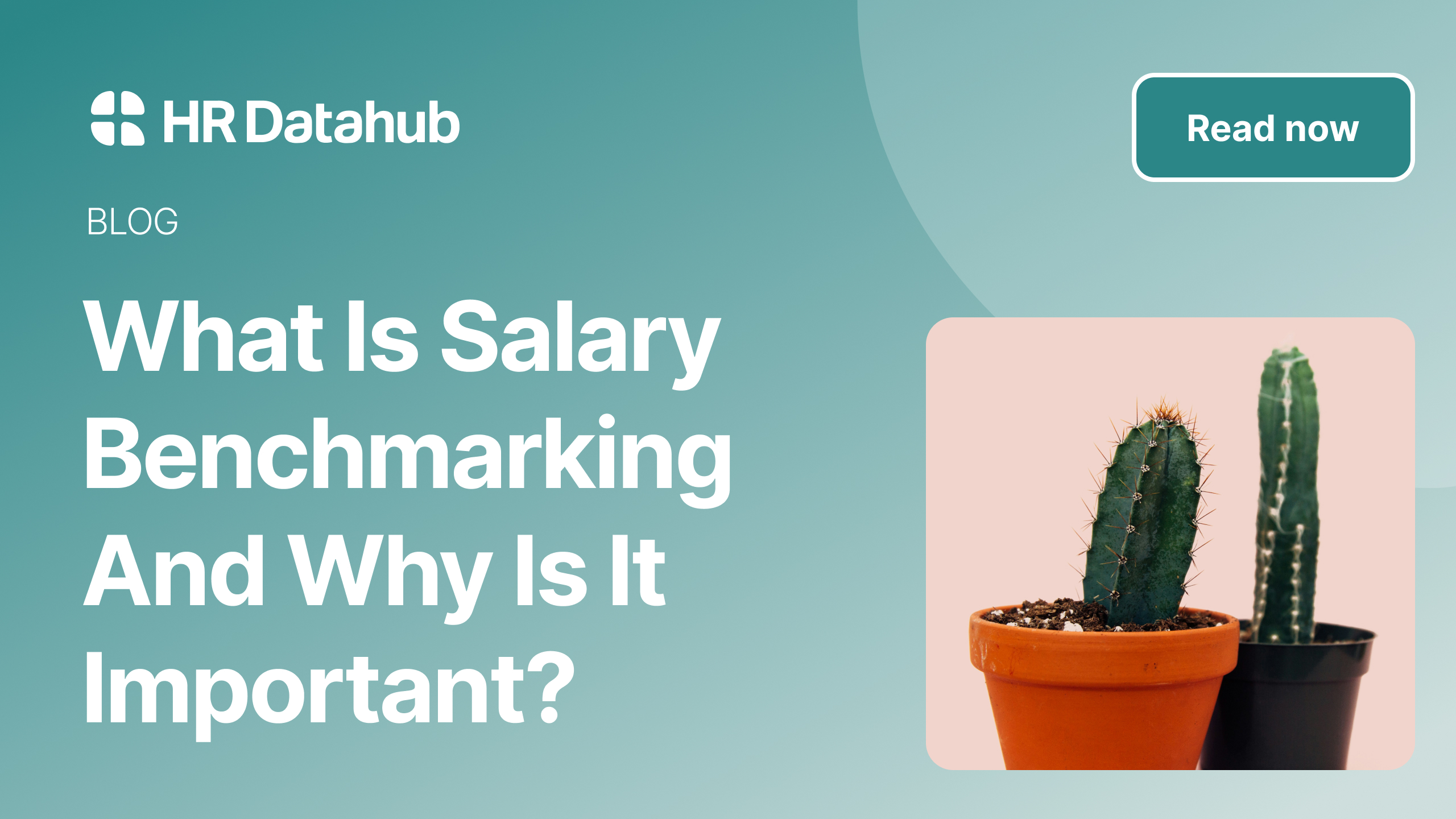 Salary Adjustment: A Complete Guide for HR Pros (2025)